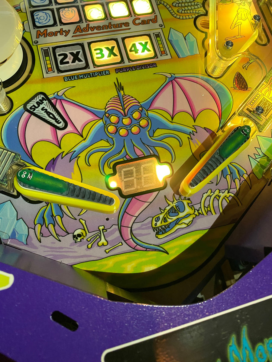 Rick and Morty "Flipper Rick" Custom 3D flippers! Individual Flipper ...